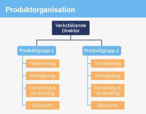 Funktionsorganisation: Allt du behöver veta [Guide 2024 ]