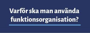 Funktionsorganisation: Allt du behöver veta [Guide 2024 ]