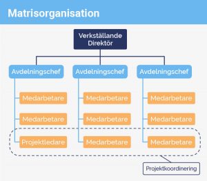 Funktionsorganisation: Allt du behöver veta [Guide 2024 ]