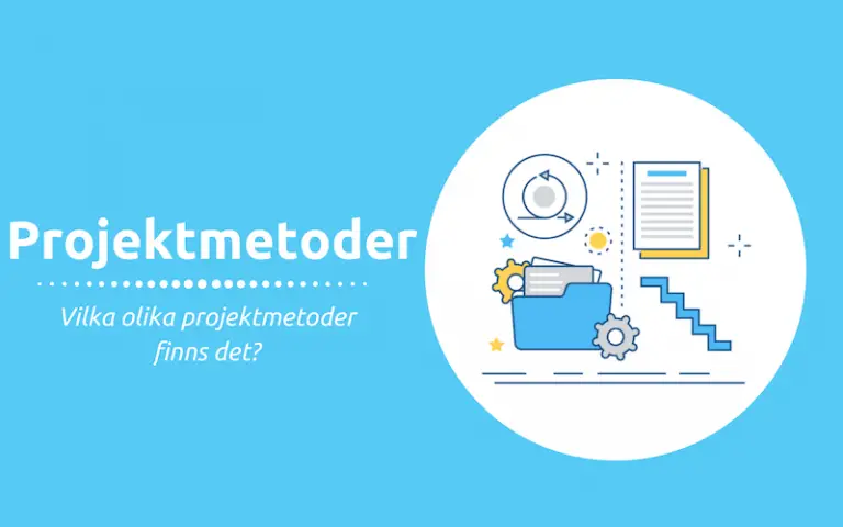 Funktionsorganisation: Vad är det och dess För- & Nackdelar [Grafisk]