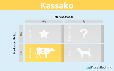 Boston Matrisen: Analysmodell för företagets produktportfölj