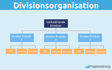 Divisionsorganisation: Samlar expertis i en division