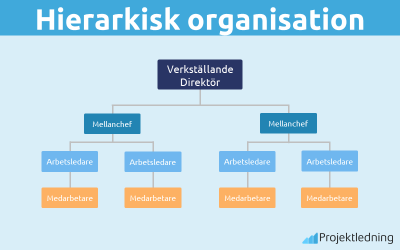 Organisationsformer: Ta reda på de olika typerna av organisationer
