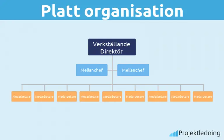 Hierarkisk organisation: Pyramidformad organisationsstruktur [Guide 2024 ]