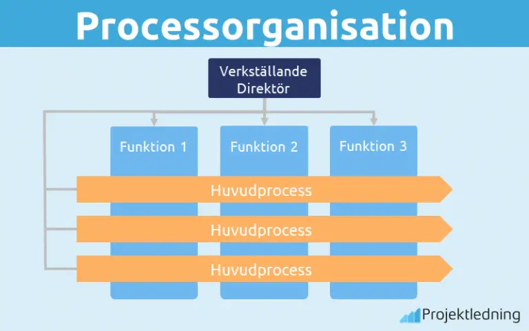 Processorganisation: Organisationsstruktur för effektiva processer