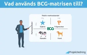 Vad används BCG-matrisen till?