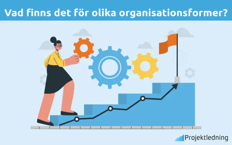Vad finns det för olika Organisationsformer?